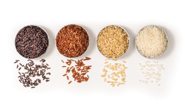 Tipos de Arroz: Explorando la diversidad de los granos de arroz » Dolso